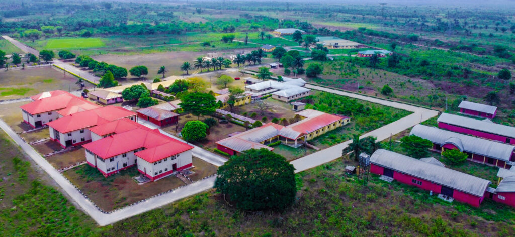 Faculty - Lighthouse University